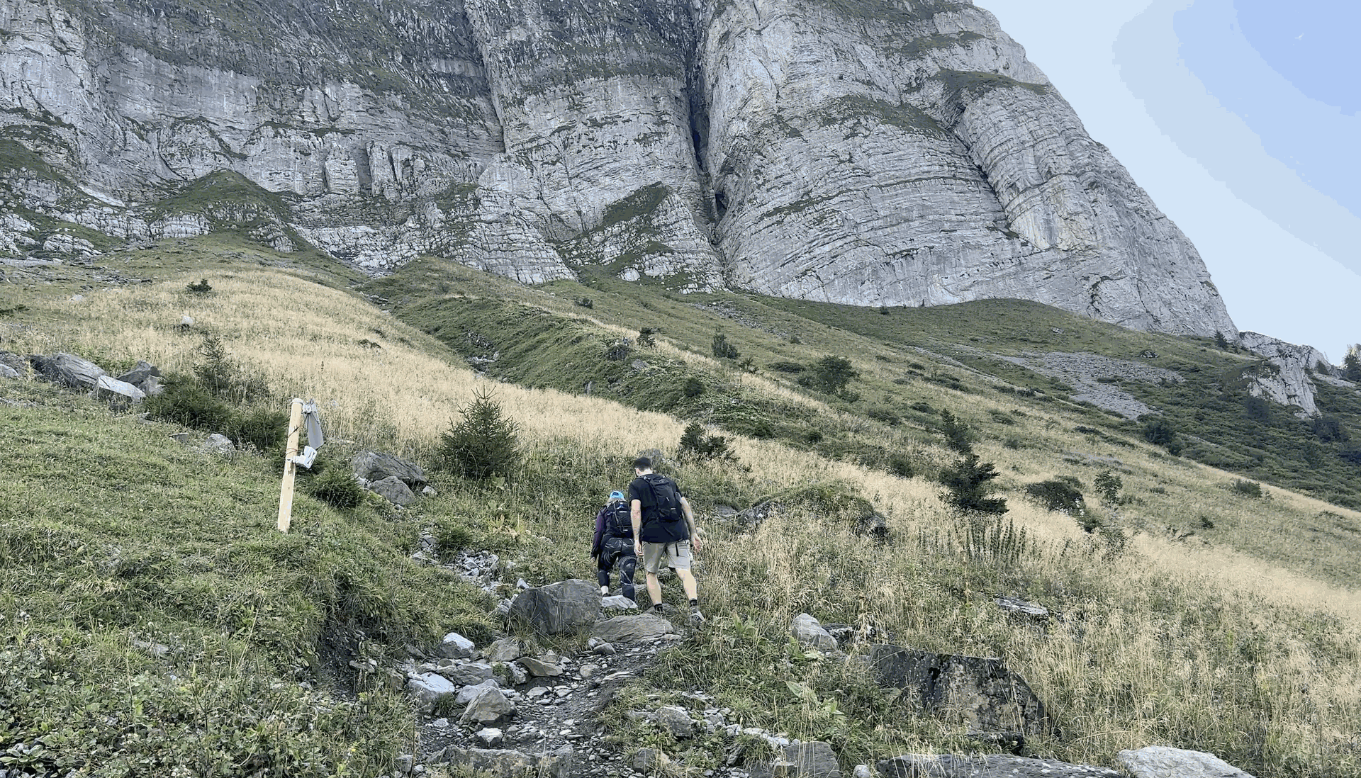 PMX TCR Radar Object Counter with LoRaWAN| PMX Systems AG